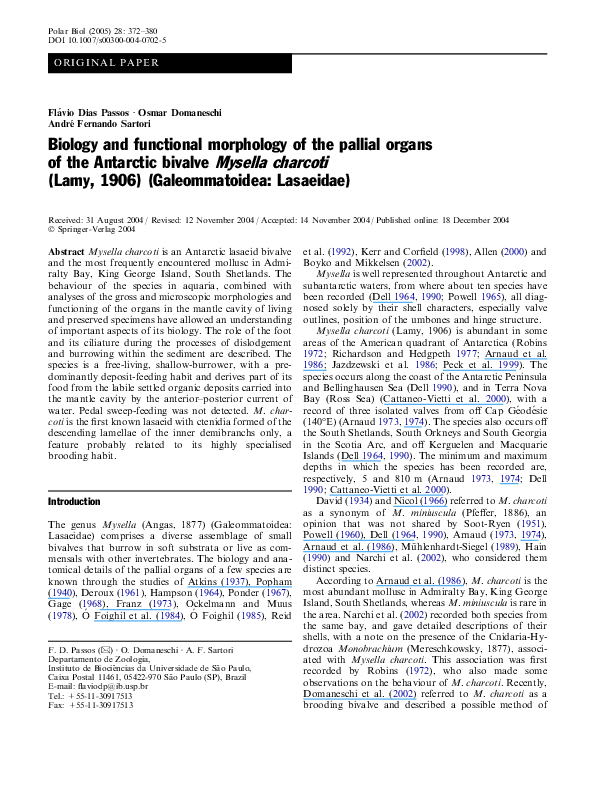 (PDF) Biology and functional morphology of the pallial organs of the ...