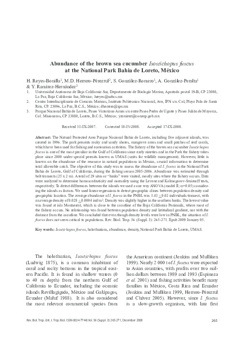 (PDF) Abundance of the brown sea cucumber Isostichopus fuscus at the ...