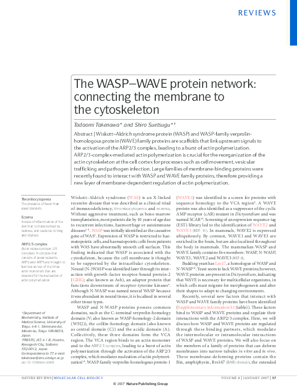 (PDF) The WASP–WAVE protein network: connecting the membrane to the ...