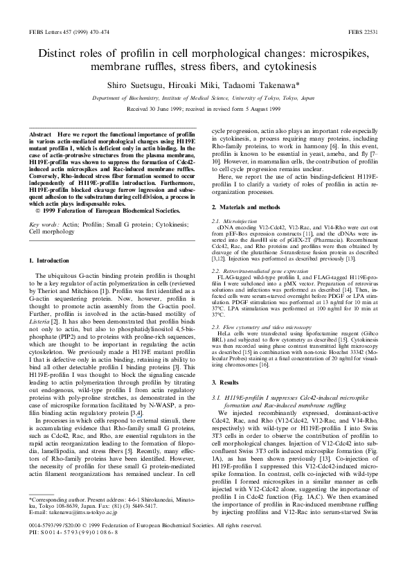 (PDF) Distinct roles of profilin in cell morphological changes ...