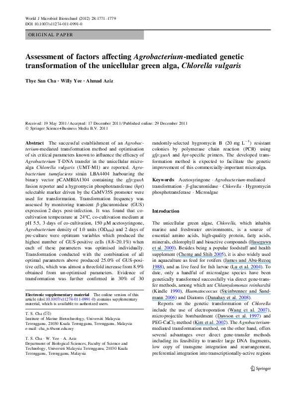 Pdf Assessment Of Factors Affecting Agrobacterium Mediated Genetic