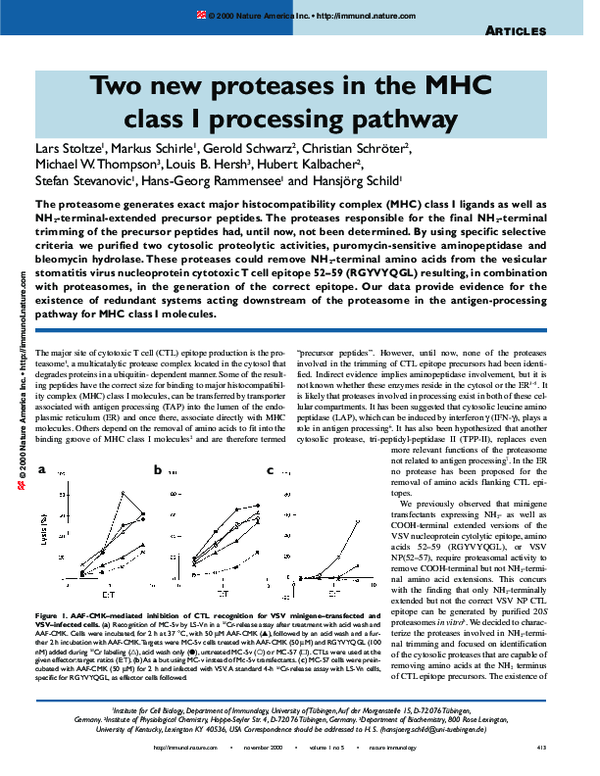(PDF) Two new proteases in the MHC class I processing pathway