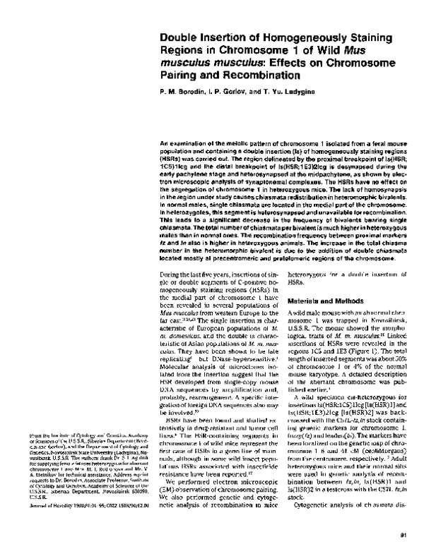 (PDF) Double Insertion of Homogeneously Staining Regions in Chromosome ...