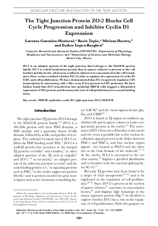 (PDF) The Tight Junction Protein ZO-2 Blocks Cell Cycle Progression and ...