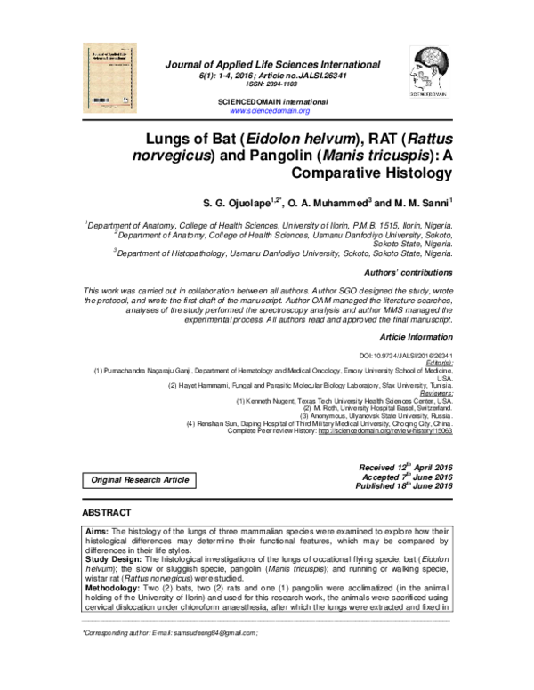 (PDF) Lungs of Bat (Eidolon helvum), RAT (Rattus norvegicus) and ...