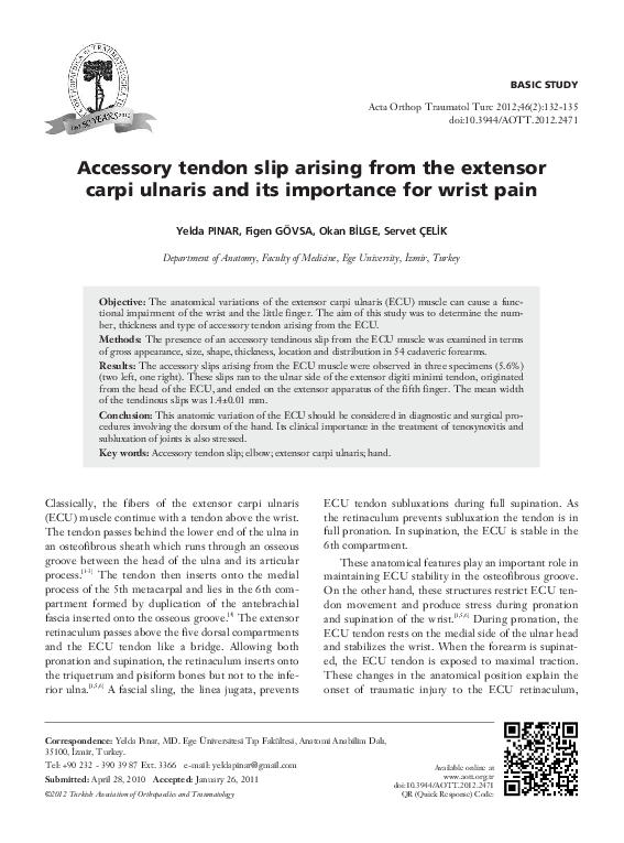 (PDF) Accessory tendon slip arising from the extensor carpi ulnaris and ...