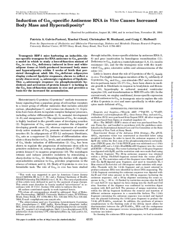 (PDF) Induction of Galpha q-specific Antisense RNA in Vivo Causes ...