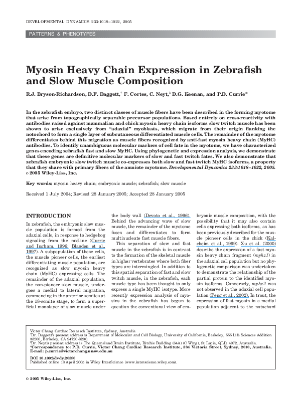 (PDF) Myosin heavy chain expression in zebrafish and slow muscle ...