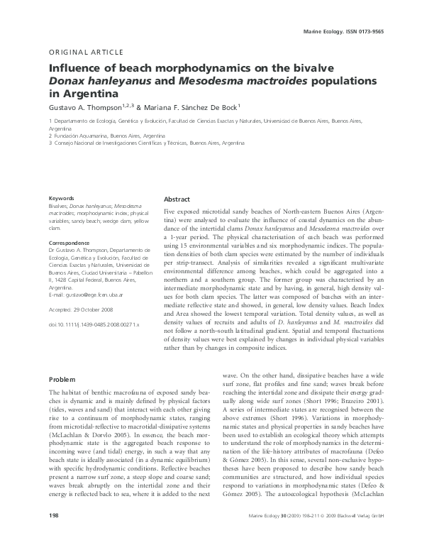 (PDF) Influence of beach morphodynamics on the bivalve Donax hanleyanus and Mesodesma mactroides ...
