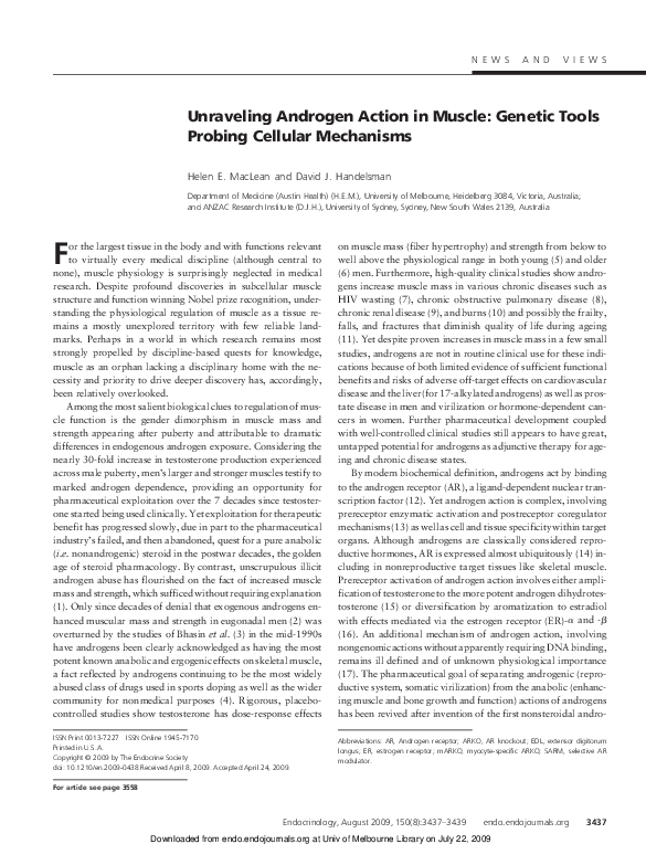 (PDF) Unraveling Androgen Action in Muscle: Genetic Tools Probing ... (PDF) Unraveling Androgen Action in Muscle: Genetic Tools Probing ...
