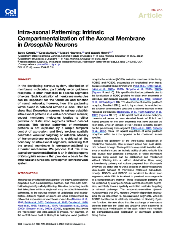 (PDF) Intra-axonal Patterning: Intrinsic Compartmentalization of the ...