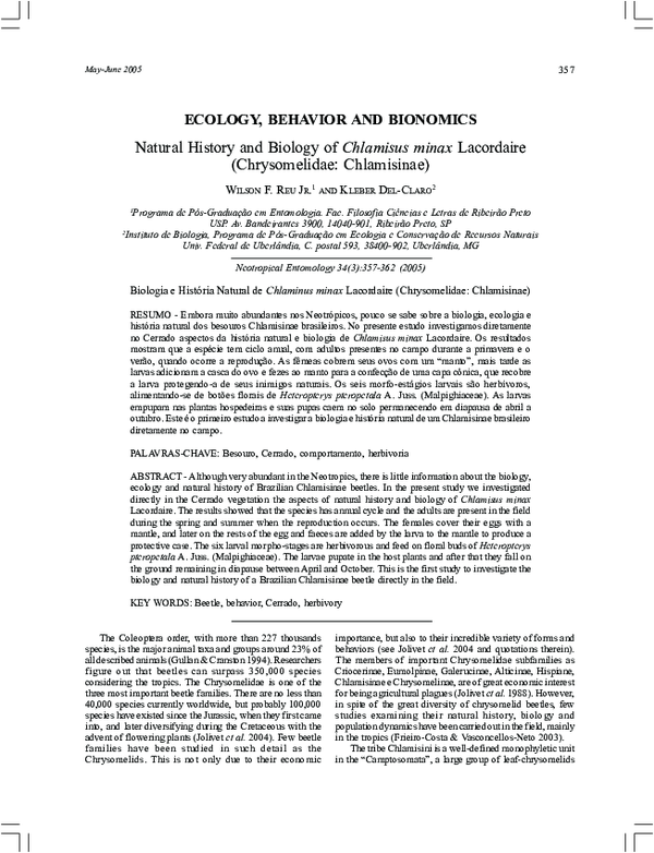 (PDF) Natural history and biology of Chlamisus minax Lacordaire ...