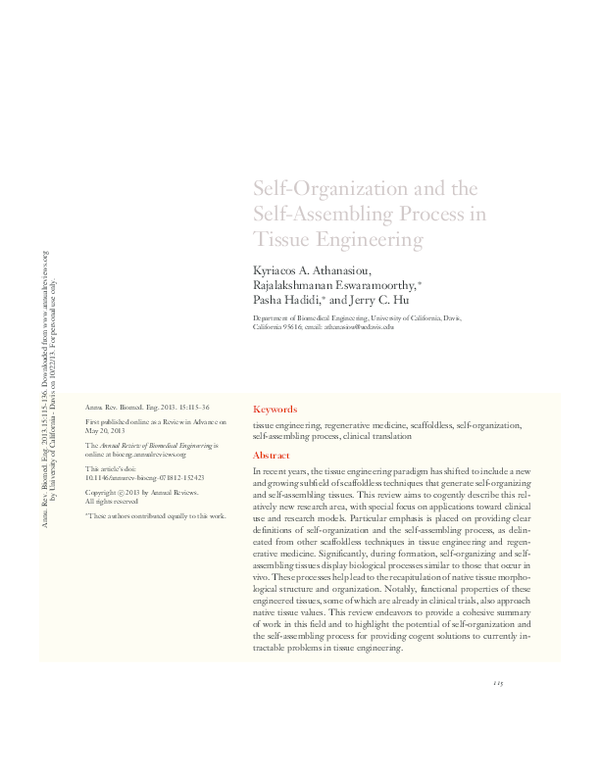 (PDF) Self-Organization and the Self-Assembling Process in Tissue ...