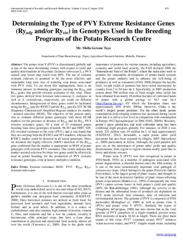 (PDF) Determining the Type of PVY Extreme Resistance Genes (Ry adg and ...