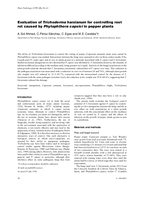 (PDF) Evaluation of Trichoderma harzianum for controlling root rot caused by Phytophthora ...