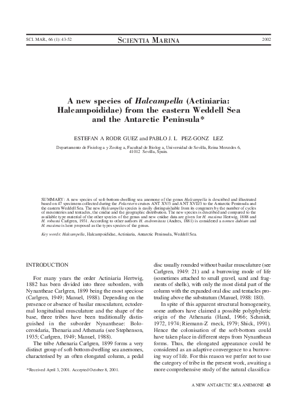 (PDF) A New Species of Halcampella (Actiniaria, Halcampoididae) From ...