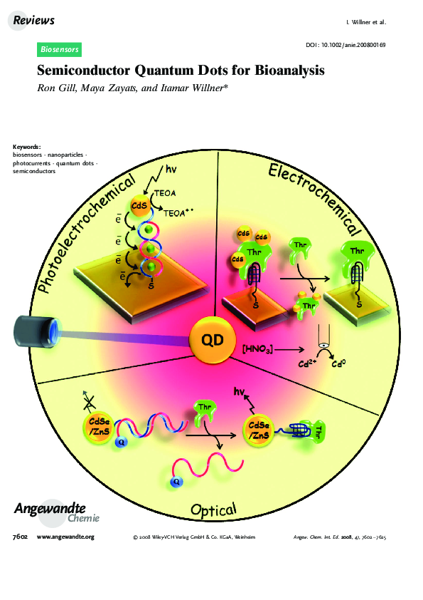 (PDF) Semiconductor Quantum Dots for Bioanalysis