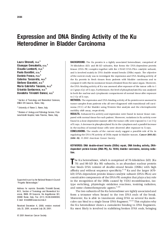 (PDF) Expression and DNA binding activity of the Ku heterodimer in ...