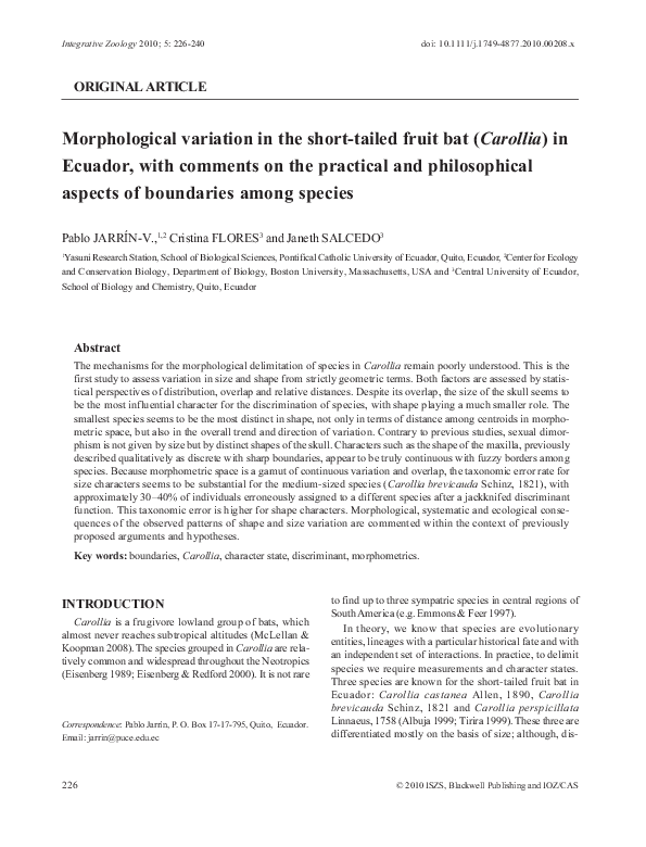 (PDF) Morphological variation in the short-tailed fruit bat (Carollia ...