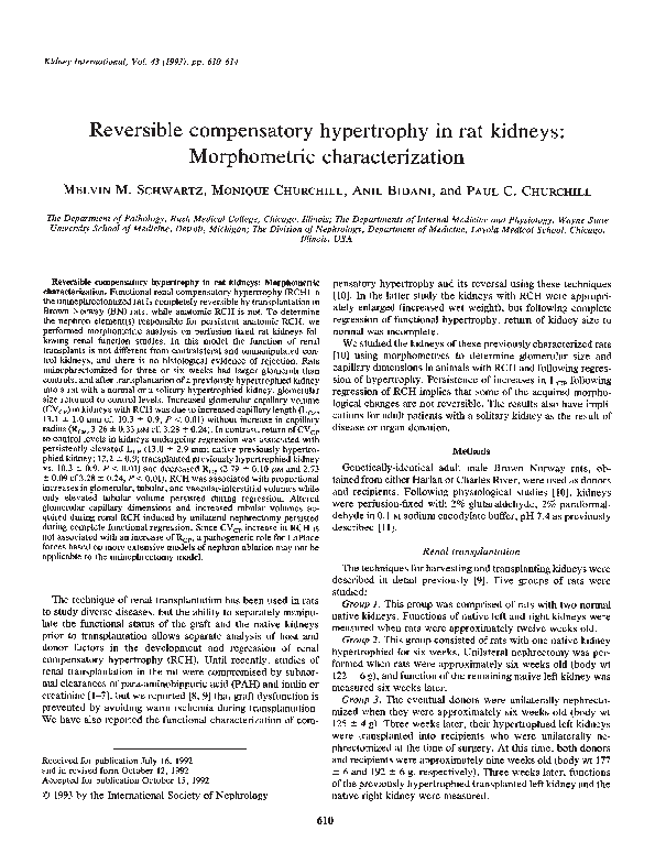 (PDF) Reversible compensatory hypertrophy in rat kidneys: Morphometric ...