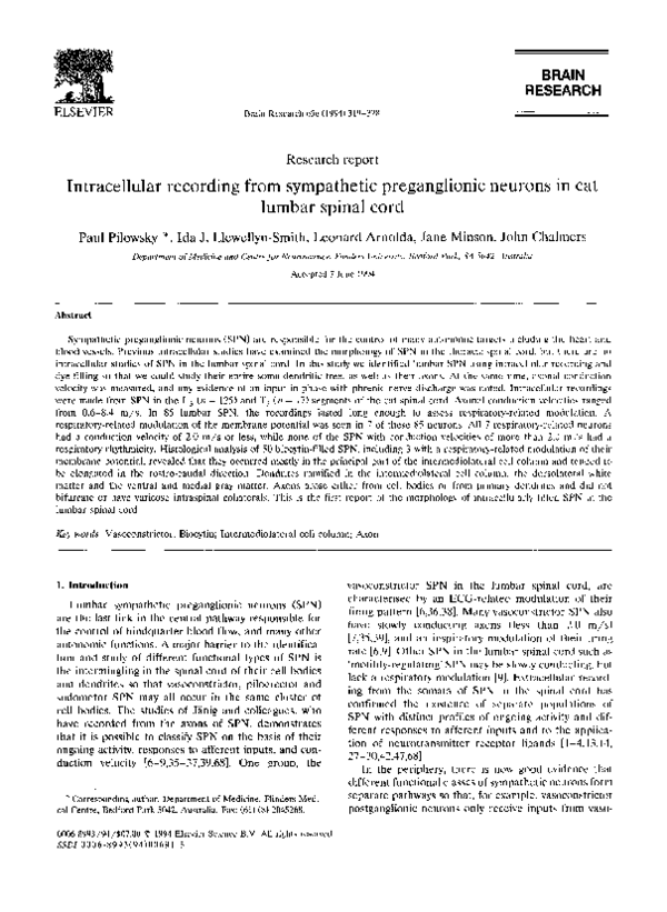 (PDF) Intracellular recording from sympathetic preganglionic neurons in ...