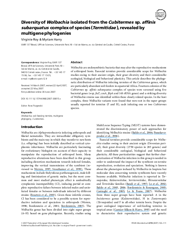 (PDF) Diversity of Wolbachia isolated from the Cubitermes sp. affinis ...