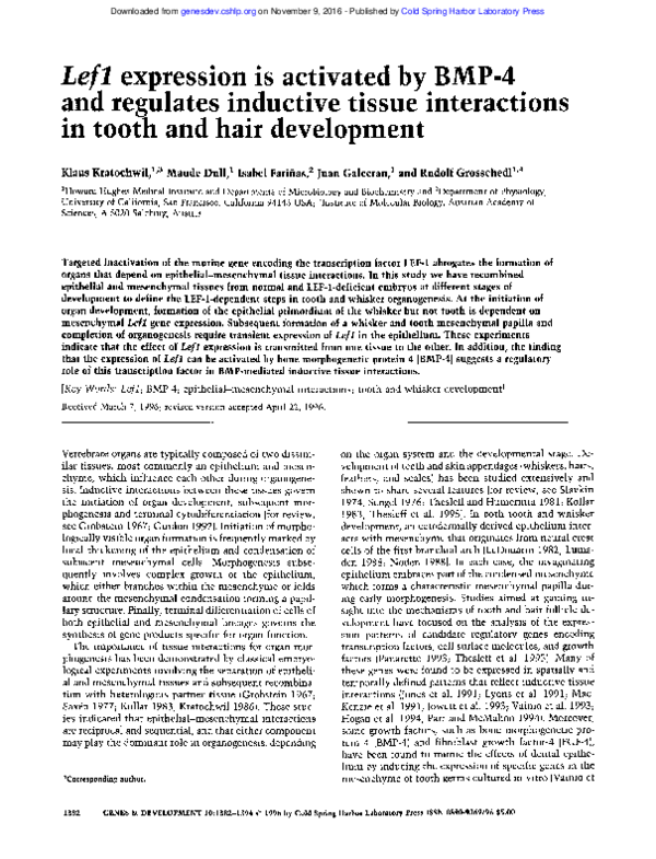(PDF) LEF-1 Activation by BMP-4 in Tissue Interactions