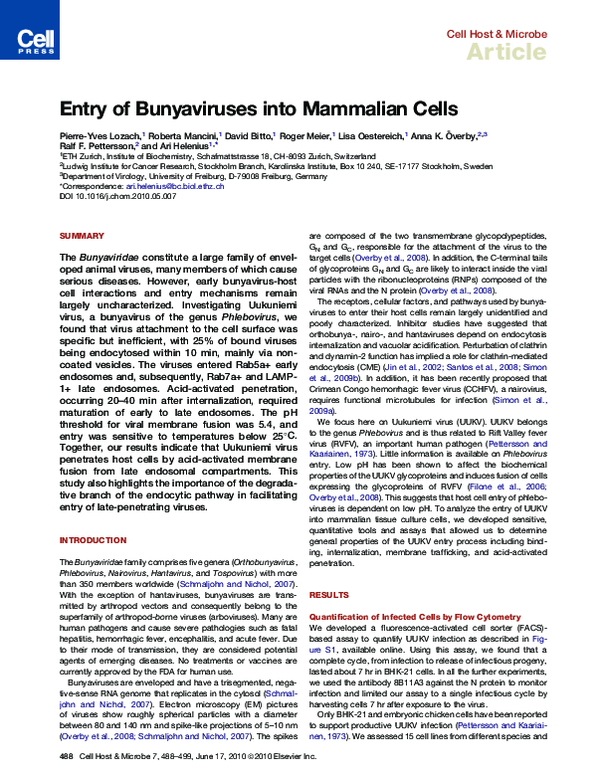 (PDF) Entry of Bunyaviruses into Mammalian Cells