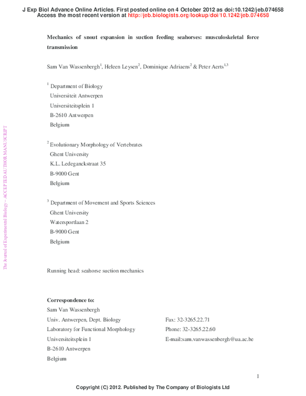 (PDF) Mechanics of snout expansion in suction-feeding seahorses ...