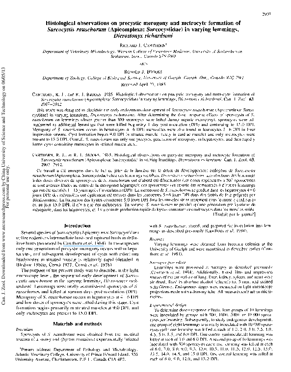 (PDF) Histological observations on precystic merogony and metrocyte ...