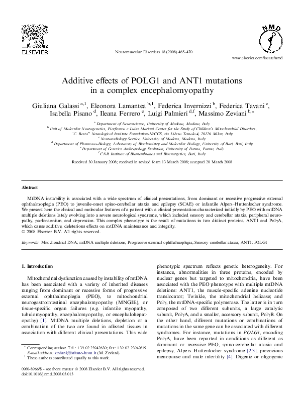 (PDF) Additive effects of POLG1 and ANT1 mutations in a complex ...