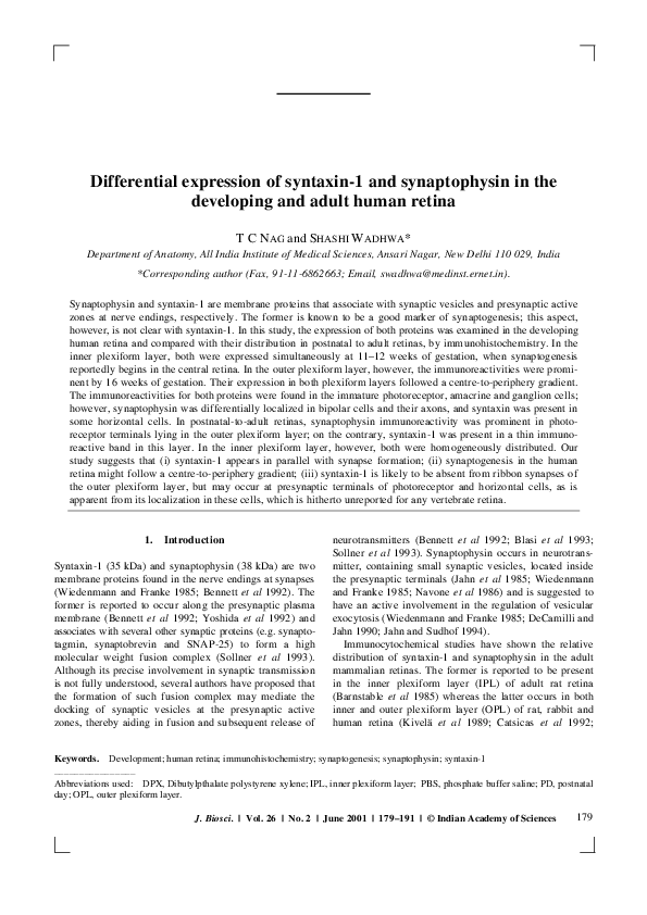 (PDF) Differential Expression of Syntaxin-1 and Synaptophysin in Human Retina