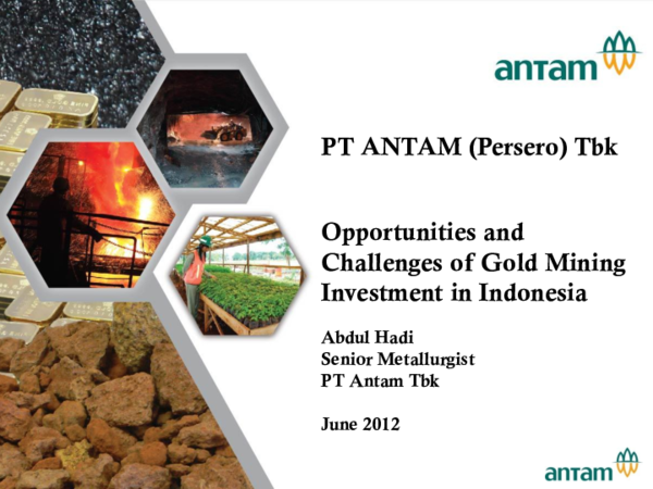 (PDF) PT ANTAM (Persero) Tbk Opportunities and Challenges of Gold ...