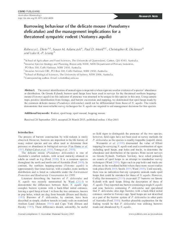 (PDF) Burrowing behaviour of the delicate mouse (Pseudomys delicatulus ...