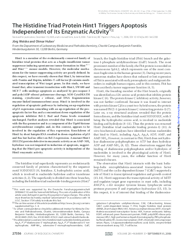(PDF) The Histidine Triad Protein Hint1 Triggers Apoptosis Independent of Its Enzymatic Activity ...