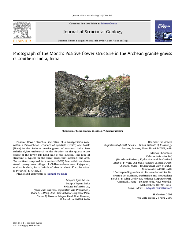 (PDF) Positive flower structure in the Southern Granulite Terrain, India