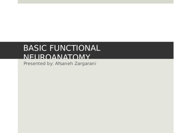 (PPT) A brief introduction to basic functional neuroanatomy (presentation)