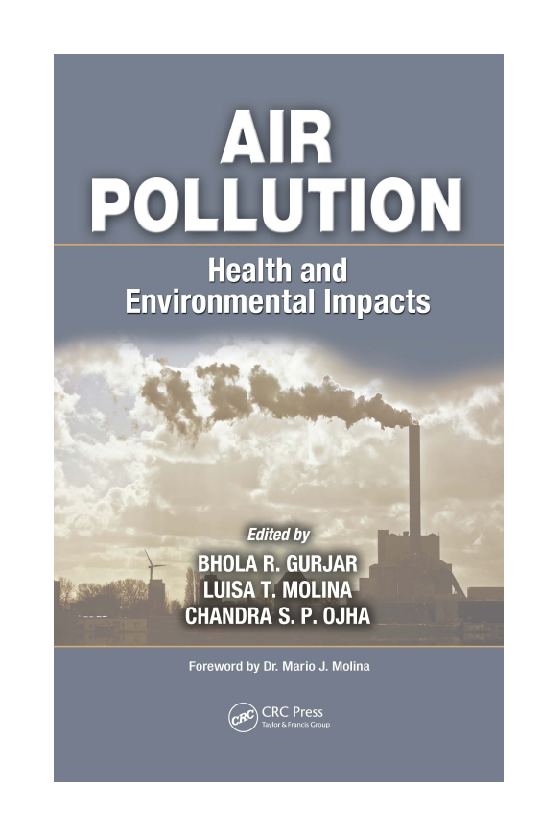 (PDF) 2 Air Pollution Monitoring and Source Characterization | Anita ...