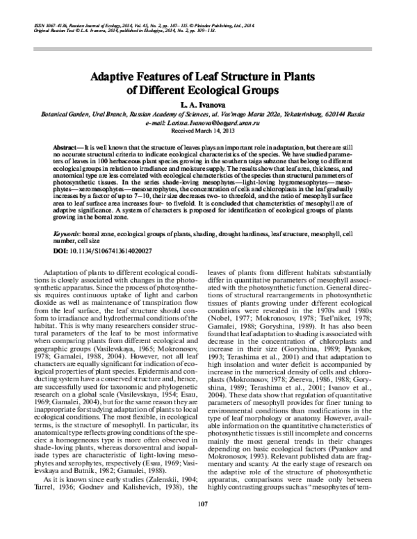 (PDF) Adaptive Features of Leaf Structure in Plants of Different Ecological Groups