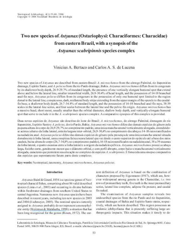 (PDF) Two new species of Astyanax (Ostariophysi: Characiformes ...
