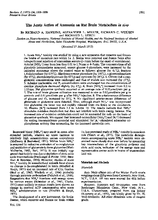 (PDF) The acute action of ammonia on rat brain metabolism in vivo ...