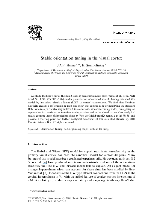 (PDF) Stable orientation tuning in the visual cortex