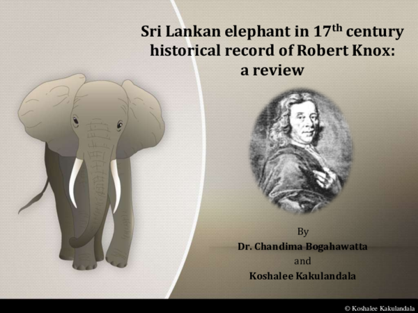 (PDF) Sri Lankan elephant in 17 th century historical record of Robert ...