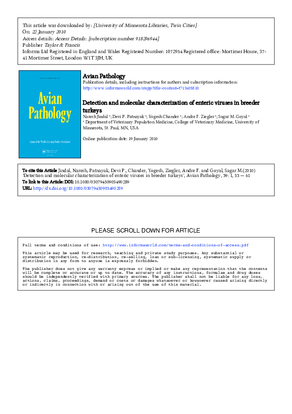 Pdf Detection And Molecular Characterization Of Enteric Viruses In Environmental Samples In