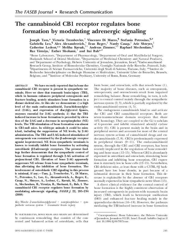 (PDF) The cannabinoid CB1 receptor regulates bone formation by ...