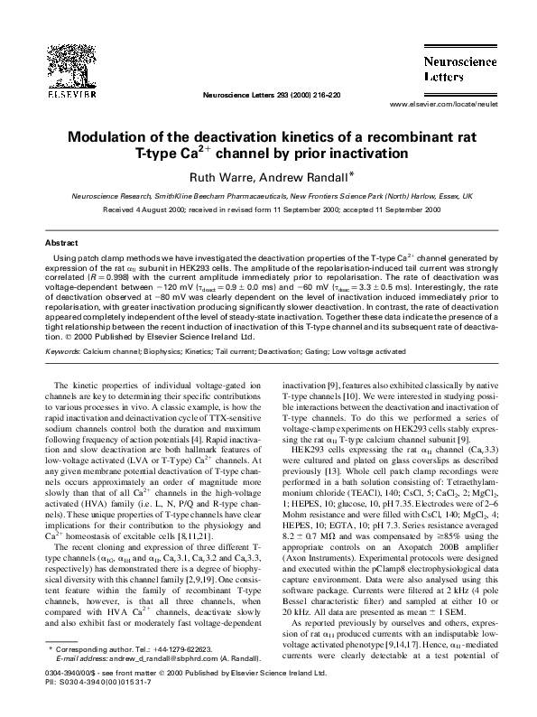 Pdf Modulation Of The Deactivation Kinetics Of A Recombinant Rat T