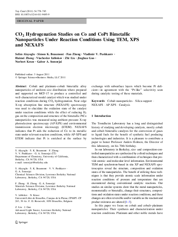 (PDF) CO 2 Hydrogenation Studies on Co and CoPt Bimetallic ...