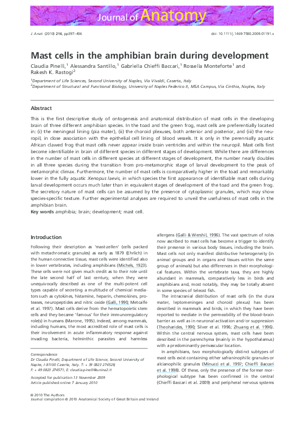 (PDF) Mast cells in the amphibian brain during development