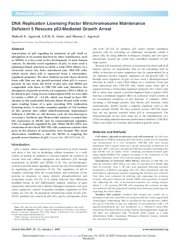 (PDF) DNA Replication Licensing Factor Minichromosome Maintenance ...