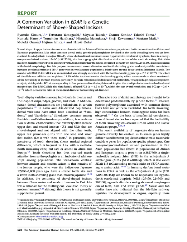 (PDF) A Common Variation in EDAR Is a Genetic Determinant of Shovel ...